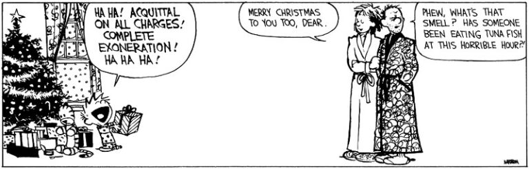 Calvin et Hobbes : Noël - Tendre Jeudi